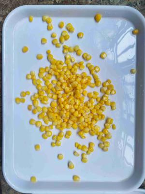 China Sweet Corn Canned Corn Sweet Typical Corn Sweet Flavor Sweet Corn Ingredient Canned Corn Sweet Canned Corn Sweet Canned for sale