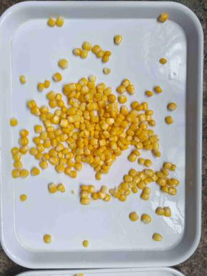 China Deel Zoete Maïskorrels In Blik Zoete Maïs Laadhoeveelheid 1080 Kartons /20 Gp Allergenen Kan Sporen Van Soja En Tarwe Bevatten Te koop