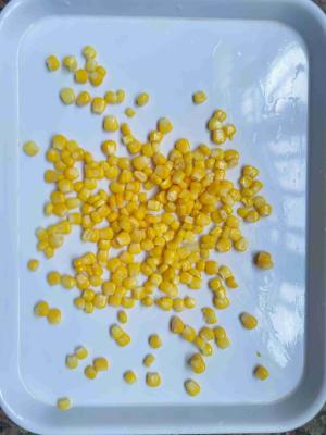 China Metel Tin Canned Corn Sweet Met Super Sweet Variety Primaire Verpakking Te koop