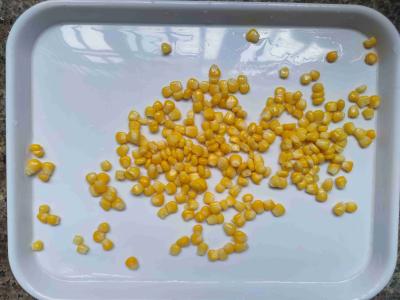 China Whip Up Mouthwatering Dishes with Canned Sweet Corn Recipe and Whole Kernel Corn Te koop