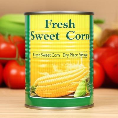 China Fresh Sweet Corn Canned Dry Place Storage and Fresh Sweet Corn Ingredient for Dry Place Storage for sale