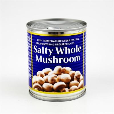 China High Temperature Sterilization Canned Mushroom Salty Whole Mushroom for Processing Requirements for sale