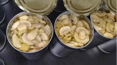 China Champignon Mushroom Canned Champignon Mushroom Featuring Salinity 0.6-1.3 Percent Keep In Cool And Dry Place Perfect for Food Processing for sale