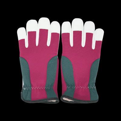 China Cowhide Gardening Gloves, cowhide garden glove for sale