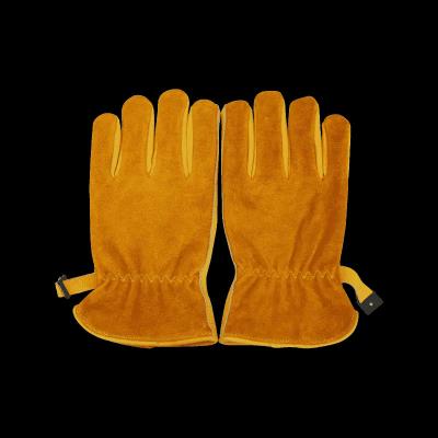 China Cowhide Driving Gloves, driver glove, cowhide driver glove for sale