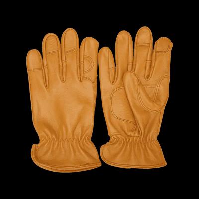 China Goatskin Driving Gloves, goatskin driver glove, for sale