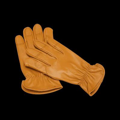 China Goatskin Driving Gloves, goatskin driver glove, for sale