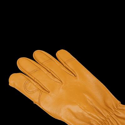 China Goatskin Driving Gloves, goatskin driver glove, for sale