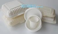 China Plastic corn starch biodegradable meat tray, Cornstarch disposable biodegradable plate for sale