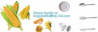 China Blister Packaging Tray Rectangular Plastic Food Tray Corn Starch PLA Cement Tray for sale