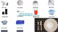 China Blister Packaging Tray Rectangular Plastic Food Tray Corn Starch PLA Cement Tray for sale