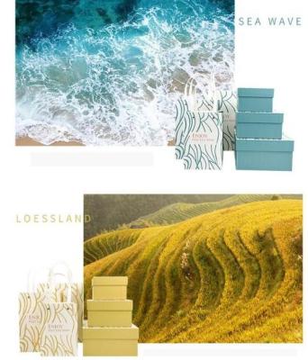 China customize logo printed paper box/gift box/luxury packaging box,Luxury Custom Paper Gift Set packaging Cosmetic Box bagea for sale