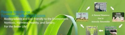 Cina Contenitori da portar via non candeggiati rinnovabili delle fibre della canna da zucchero e di Wheatstraw in vendita