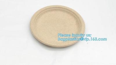 China biodegradable tableware 5 compartment sugarcane tray,100% Biodegradable Disposable Sugarcane Paper Raw Material Composta for sale