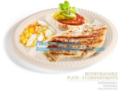China Eco Friendly Biodegradable Sugarcane Bagasse Plates Disposable,Sugarcane Bagasse Pulp Disposable Biodegradable Plate For for sale