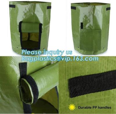 Cina il patato/verdura della pianta di giardino coltiva le borse, i hotsales 2gallon i vasi del tessuto che coltivano le borse per il fiore della pianta coltivano la patata o della pianta della borsa in vendita