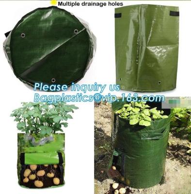Cina il patato/verdura della pianta di giardino coltiva le borse, i hotsales 2gallon i vasi del tessuto che coltivano le borse per il fiore della pianta coltivano la patata o della pianta della borsa in vendita
