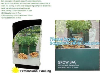 Cina il patato/verdura della pianta di giardino coltiva le borse, i hotsales 2gallon i vasi del tessuto che coltivano le borse per il fiore della pianta coltivano la patata o della pianta della borsa in vendita