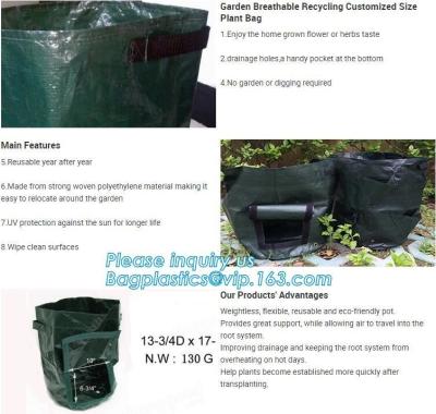Cina 100 l'albero di abbronzatura che di gallone di /200/300 coltiva la borsa 100gallon coltivano la borsa per gli alberi della pianta, verdure coltivano le borse che piantano le borse che coltivano le borse in vendita