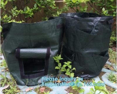 Cina 100 l'albero di abbronzatura che di gallone di /200/300 coltiva la borsa 100gallon coltivano la borsa per gli alberi della pianta, verdure coltivano le borse che piantano le borse che coltivano le borse in vendita