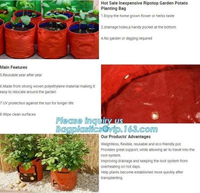 Cina 100 l'albero di abbronzatura che di gallone di /200/300 coltiva la borsa 100gallon coltivano la borsa per gli alberi della pianta, verdure coltivano le borse che piantano le borse che coltivano le borse in vendita