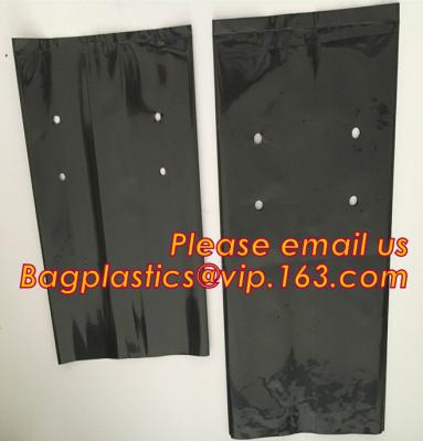 Cina il nero del polietilene coltiva il vaso di plastica della pianta delle borse che semina le borse della scuola materna, efficace crescita di plastica bianca nera stabilizzata UV in vendita