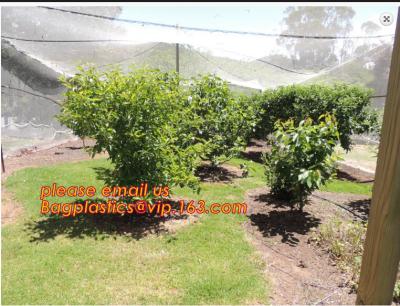 China Hot Selling Greenhouse Anti Insect Netting with Competitive Price,virgin hdpe anti insect net for agriculture, BAGPLASTI for sale