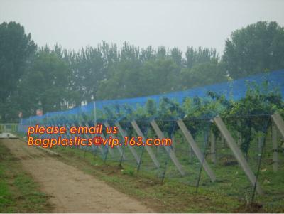 China Hot Selling Greenhouse Anti Insect Netting with Competitive Price,virgin hdpe anti insect net for agriculture, BAGPLASTI for sale