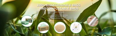 China drawstring trash bags on roll disposable bag in compostable, Eco-friendly Roll Drawstring Compostable Biodegradable Garb for sale