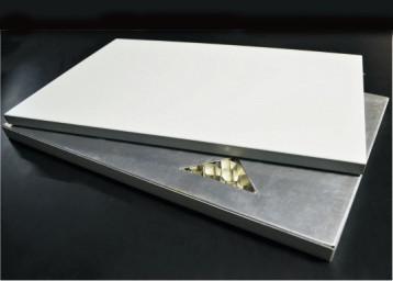 Cina decorativo inserisca il pannello di alluminio del favo in vendita