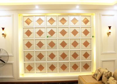 Cina Mattonelle artistiche del soffitto della struttura di alluminio per la decorazione domestica della parete e del soffitto in vendita
