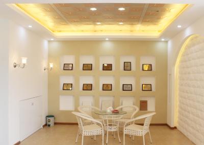 Cina Mattonelle artistiche del soffitto del metallo residenziale, pannello decorativo del soffitto per la casa in vendita
