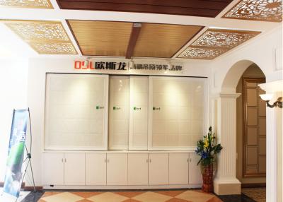 Cina Mattonelle artistiche del soffitto del metallo residenziale, pannello decorativo del soffitto per la casa in vendita
