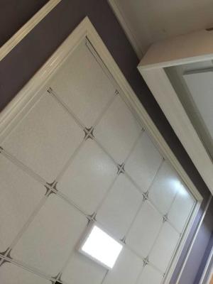 Cina Il soffitto artistico semplice su ordinazione piastrella il metallo falso per il centro commerciale in vendita