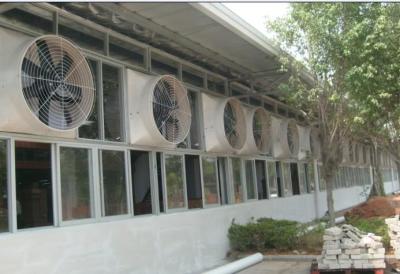 China FRP glassfiber   mount  fan  evaporative  coolers for sale