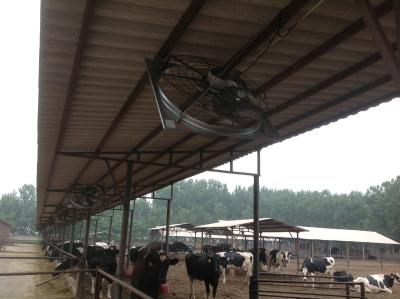 China cow shed  cooling  fan  for  livestock  barns for sale