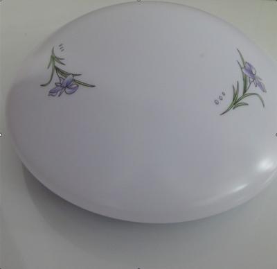 中国 10W 20W 24 のワット寝室/浴室 5500K | 6500K のための円形 LED の天井灯の省エネ 販売のため