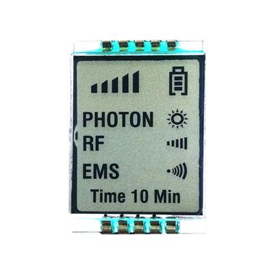 China Manufacturer Tn Htn Stn Va Custom Segment LCD 8 Digital Screen Monochrome Display Segment LCD Display for sale