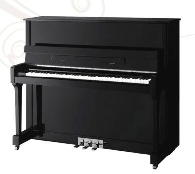 China Black Polished Modern Acoustic Upright Piano With Stool Cutomized Color AG-125H3 for sale