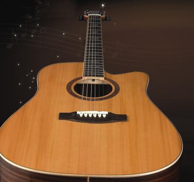 China Luxurious Solidwood acoustic 6 string guitar for student TP-AG519C for sale