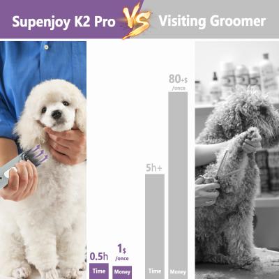 Cina Kit per la cura degli animali da compagnia Aspirapolvere 5 in 1 P2 Pro Basso rumore Kit per l'aspirapolvere per animali da compagnia Cane Gatto in vendita