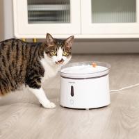 Quality 2023 Newest Pet Water Dispenser with Activated Carbon Filter and Time Setting for sale