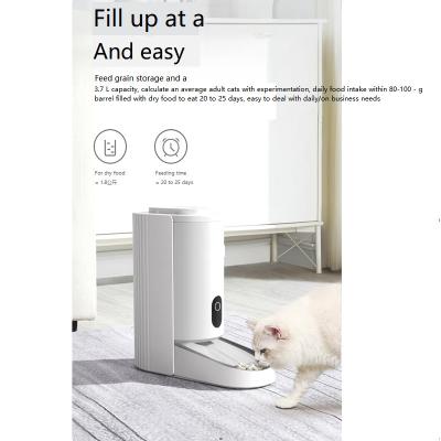Cina Dispensatore automatico per cani e gatti Dimensione del prodotto 370*163*370 mm Impostazione dell'ora in vendita