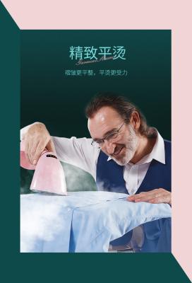 Cina Cassa di ferro abbigliamento abbigliamento vapore con spazzola 140*115*275mm esterno e elettrico a vapore in vendita