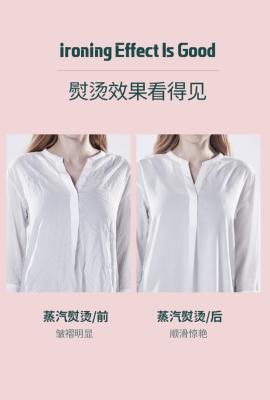 Cina Cassa di ferro abbigliamento abbigliamento vapore con spazzola 140*115*275mm esterno e elettrico a vapore in vendita