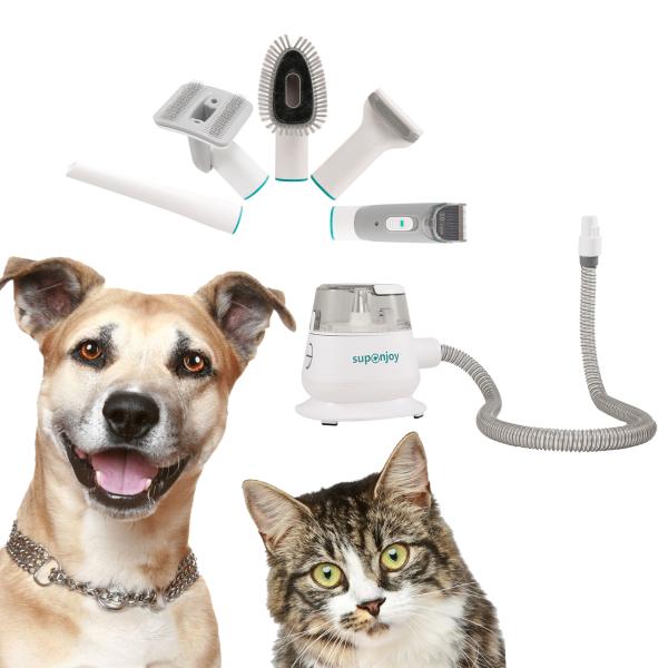 Quality Low Noise 9000Pa Vacuum Professional Pet Hair Cutter for Multi-Purpose Cleaning Needs for sale