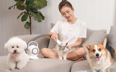 China Low Noise Pet Grooming Vacuum Cleaner for Multi-purpose Grooming of Cats and Dogs for sale