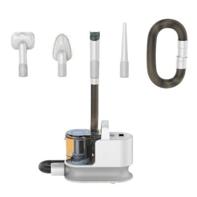 Cina Kit elettronico per la cura degli animali da compagnia 300W aspiratore a vuoto in ferro per gatti e cani professionale in vendita