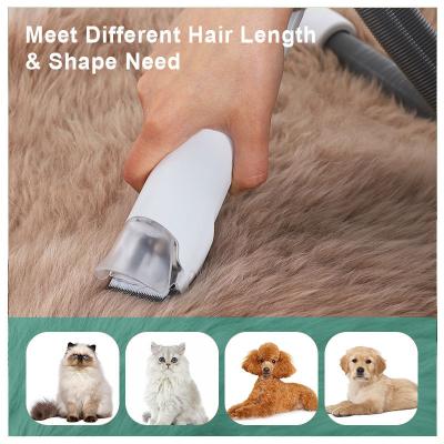 Cina Pulizzatore multifunzione per capelli per animali da compagnia Aspiratore per capelli Spazzola per capelli Potente aspiratore per animali da compagnia in vendita