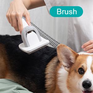 Cina 2024 Luxury Portable 5 in 1 Cat Dog Cleaning Tool Pet Grooming Kit Aspirapolvere Easy in vendita